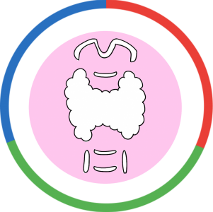 Human Anatomy Courses – E-Learning Anatomi